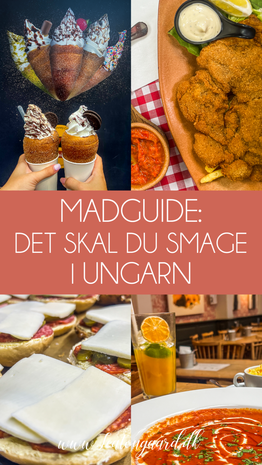 Madguide: Det skal du smage i Ungarn - Rejsebloggen TeaTougaard.dk